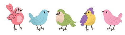 봄 새 아름답고 귀여운 다채로운 새들 아름 답고 귀여운 새들의 집합입니다 엽서와 티셔츠에 대 한 새의 벡터입니다 새에 대한 스톡