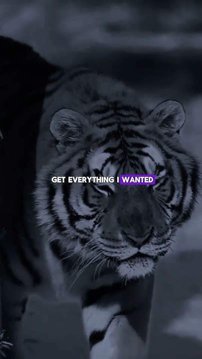 it s time to get everything motivation successmindset mindset motivationalquotes