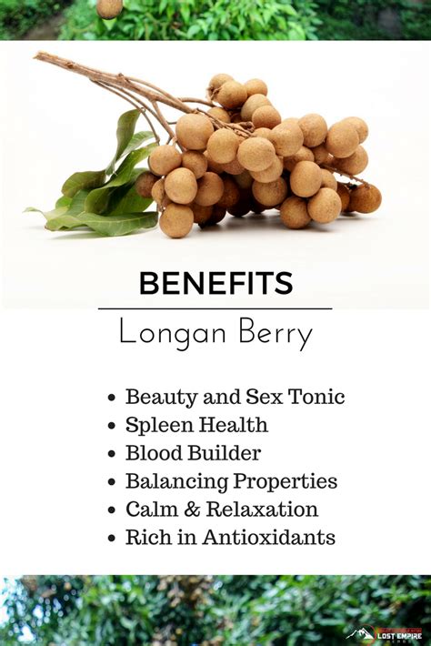 Longan Berry Longan Fruit Nourishes The Yin It Is Considered A