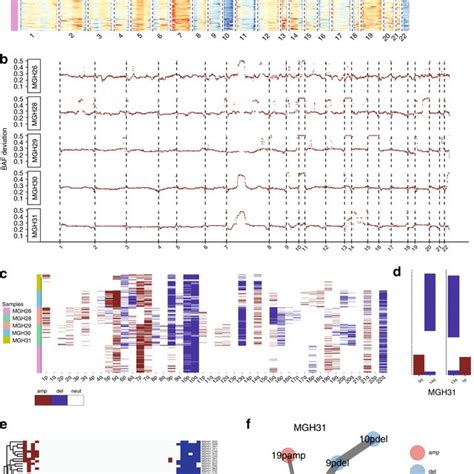 Casper Algorithm Applied To Bulk Meningioma Rna Seq Dataset A Heatmap