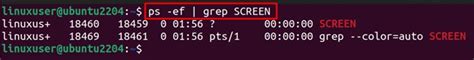 How To Kill A Screen Session In Linux Linux Genie
