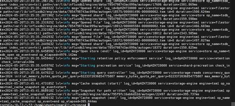 Updated Influxdb To 276 From 240 Now Ui Is Not Opening Influxdb 2 Influxdata Community