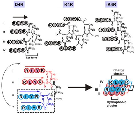 Polymers Special Issue Development And Application Of Polymer Scaffolds