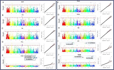 Manhattan Plots And Quantile Quantile Q Q Plots A And J Of The GWAS