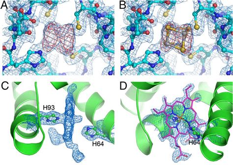 Electron Density Maps Calculated From Still Images A 2f O − F C Download Scientific Diagram