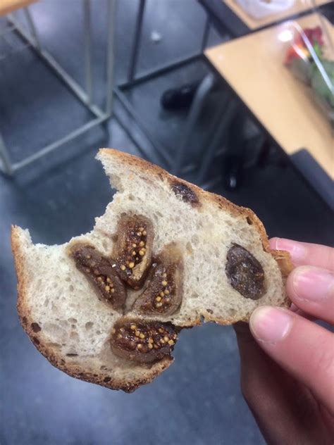 어제 38은 세계 여성의 날이자 Sfa의 2016년도 첫 총회가 Sfa 숙명여대중앙여성학동아리