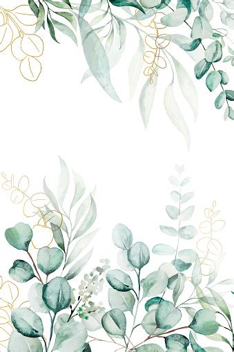 녹색 수채화 유칼립투스 잎으로 만든 배경 테두리 웨딩 일러스트레이션 유칼립투스에 대한 스톡 벡터 아트 및 기타 이미지