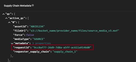 Technical Metadata In The Supply Chain Sdvi