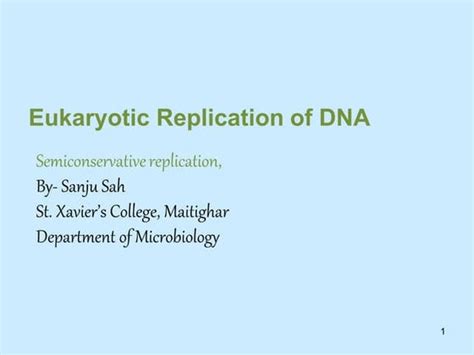 Dna Replication Of Genetic Information Ppt