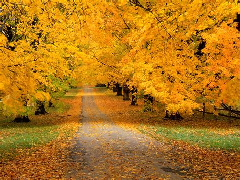 Beautiful Autumn Season Wallpapers Hd Nice Wallpapers