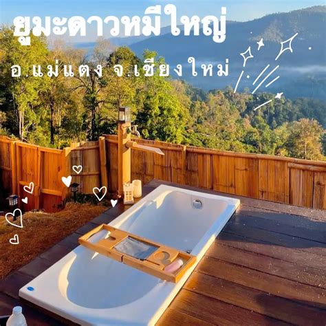 ⛅️ที่พักแนะนำ ยูมะดาวหมีใหญ่ อ แม่แตง จ เชียงใหม่ แกลเลอรีที่โพสต์โดย Biliinn🐣 Lemon8