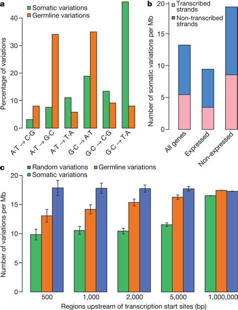 Somatic Single Nucleotide Mutation Trends And Patterns A Somatic Download Scientific Diagram