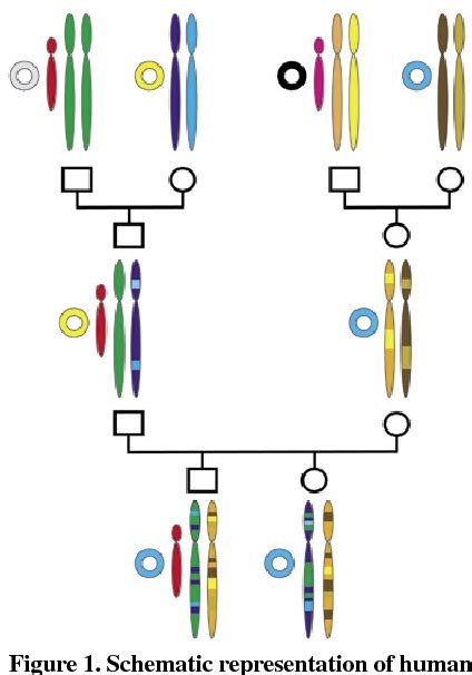 Genetic Marker Testing