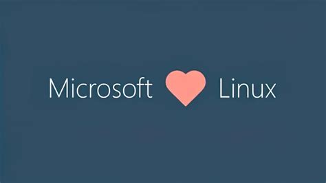 Windows Subsystem Für Linux Version 0 50 2 Mit Aktuellem Lts Kernel Erschienen Computerbase