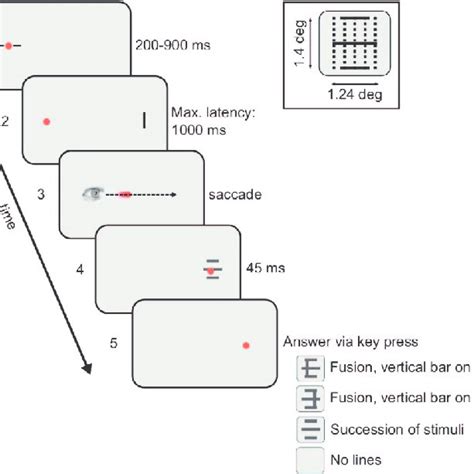 Examples Of Upward Gaze Deviations During The Dma Condition Download