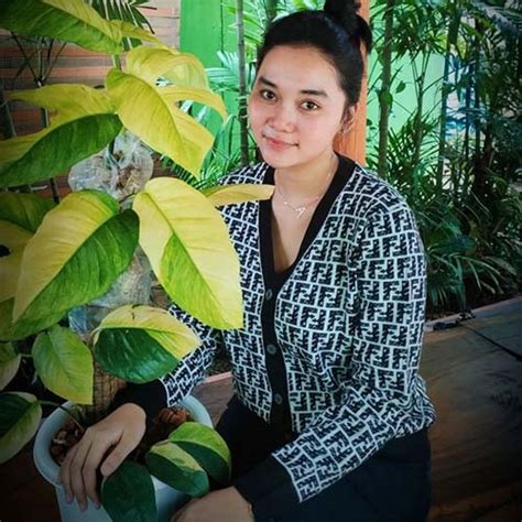 Epipremnum Pintaum Var Yellow Lavi Flora Indonesia