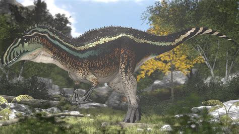 The High Spined Lizard Acrocanthosaurus Fandom