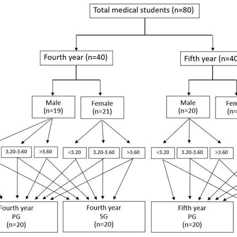 Randomization Process Download Scientific Diagram