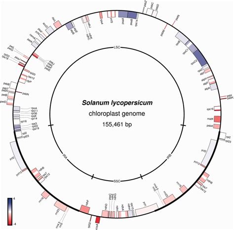 Visualization Of A Gene Expression Data Set On The Physical Map Of The