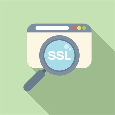 Search Ssl Certificate Icon Flat Vector Network Security 20248626 Vector Art At Vecteezy