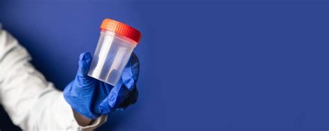 What Does An 8 Panel Drug Test Test For Comprehensive Guide