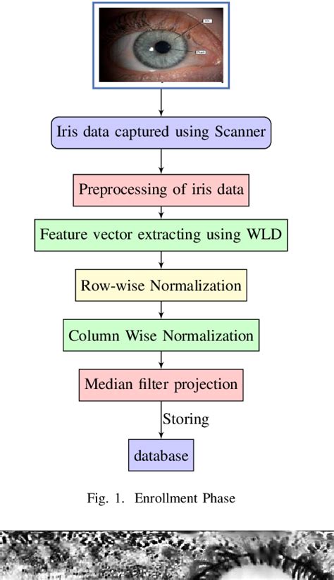Figure 1 From Cancelable Iris Template Generation Using Weber Local Descriptor And Median Filter