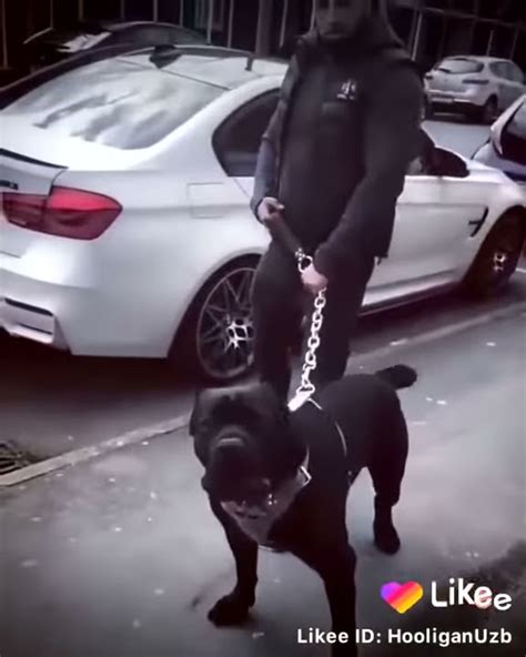 კანე კორსო🖕🏼🖕🏼🖕🏼🖕🏼🖕🏼🖕🏼🖕🏼🖕🏼😂😂😂😂 Youtube