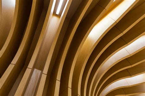 Curved Architecture And Design Examples To Inspire Your Project