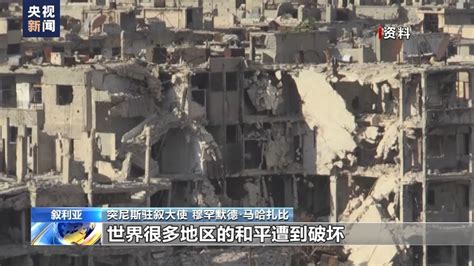 新任突尼斯驻叙大使：阿盟国家反对外部干涉 赞赏中国促和努力四川在线