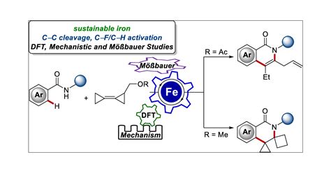 Iron Catalyzed Triazole Enabled Ch Activation With Bicyclopropylidenes