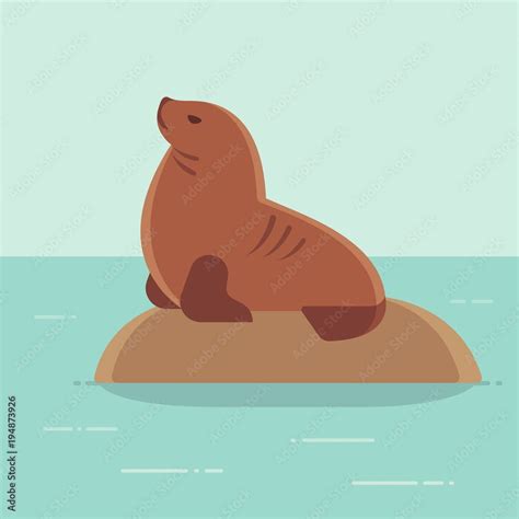 Lobo De Mar Dibujo Lobos Marinos Dibujo