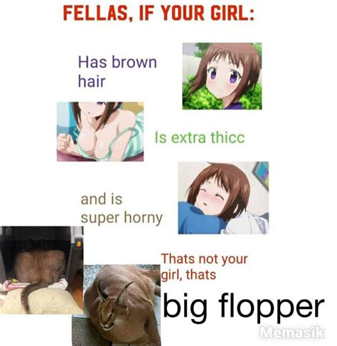 R Floppa