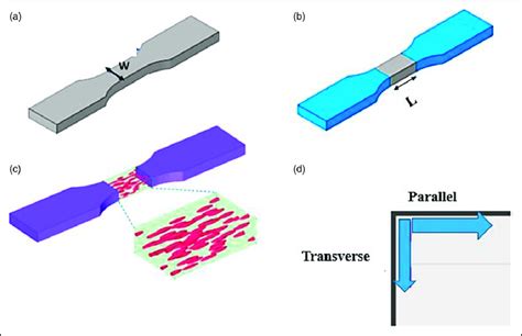 A Homogeneous 3d Printed Sample B Heterogeneous 3d Printed Sample Download Scientific