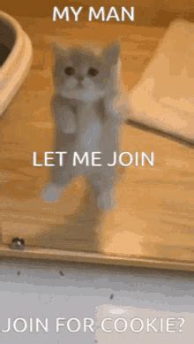 Let Me Join Sticker Let Me Join Discover And Share S