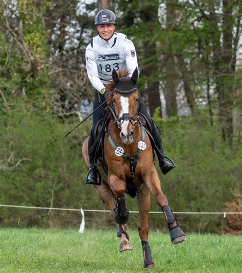 Calvin Böckmann Auf Erfolgskurs Rheinlands Reiter Pferde