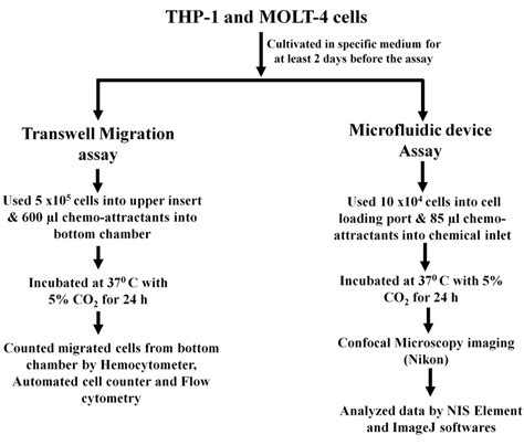 6 Diagram Of Workflow Conducted For Testing Sub Hypothesis Iii