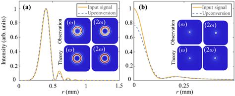 Intensity Profiles And Transverse Distribution Of The Input Signal Of