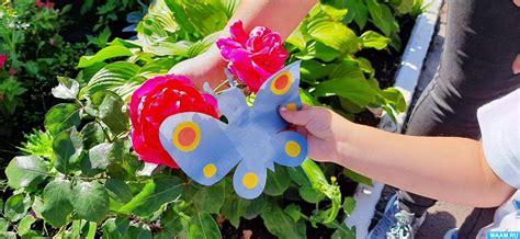 Занятие «Путешествие в страну насекомых 1 фото Воспитателям детских садов школьным учителям