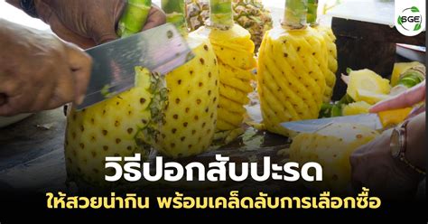 วิธีทำ แซนวิชโบราณ ไส้ทะลัก ง่าย ๆ สร้างรายได้เสริม