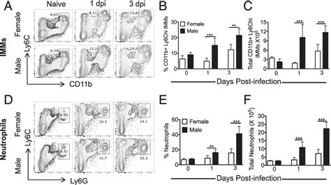 Figure 1 From Sex Based Differences In Susceptibility To Severe Acute