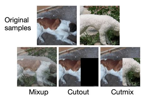 Sample Images Using The Mixup Cutout And Cutmix Augmentation Methods