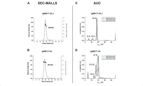 Size Exclusion Chromatography Coupled To Multi Angle Laser Light Download Scientific Diagram