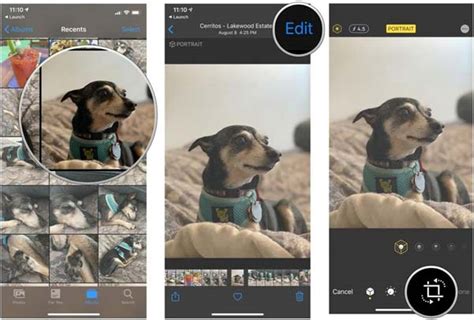 5 Easy Ways To Crop An Image On Windows Mac And IPhone