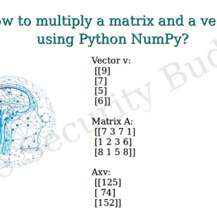 What Are Pivots Of A Matrix The Security Buddy