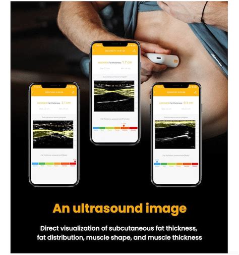 Body Fat And Muscle Tracker Fitkeep