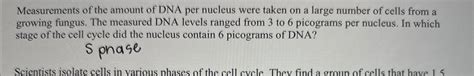 Solved Measurements Of The Amount Of Dna Per Nucleus Were