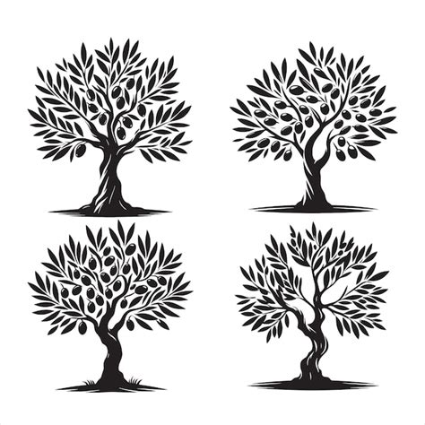 Olive Tree Clipart Bundle Vectors And Illustrations For Free Download Freepik
