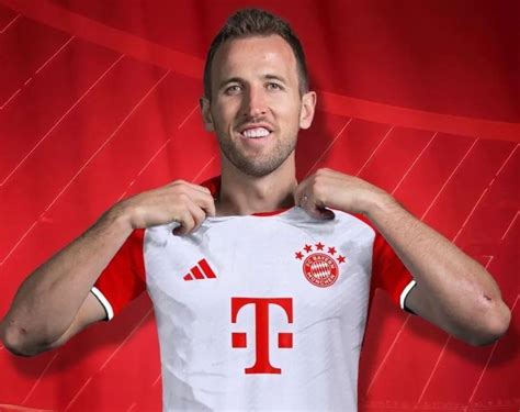 케인 뮌헨 이적 결심11일 메디컬테스트→4년 계약연봉 350억토트넘 10년 생활 아듀 나무뉴스