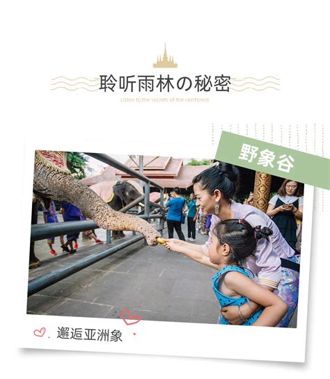 云南 昆明 西双版纳4日定制游纯玩0购物 孟仑植物园 野象谷 原始森林公园 孔雀放飞 大象表演 泼水狂欢 热带雨林 亲子家庭游 马蜂窝自由