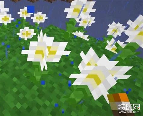 我的世界蜜蜂怎么繁殖 蜂蜜采集方法 特玩网